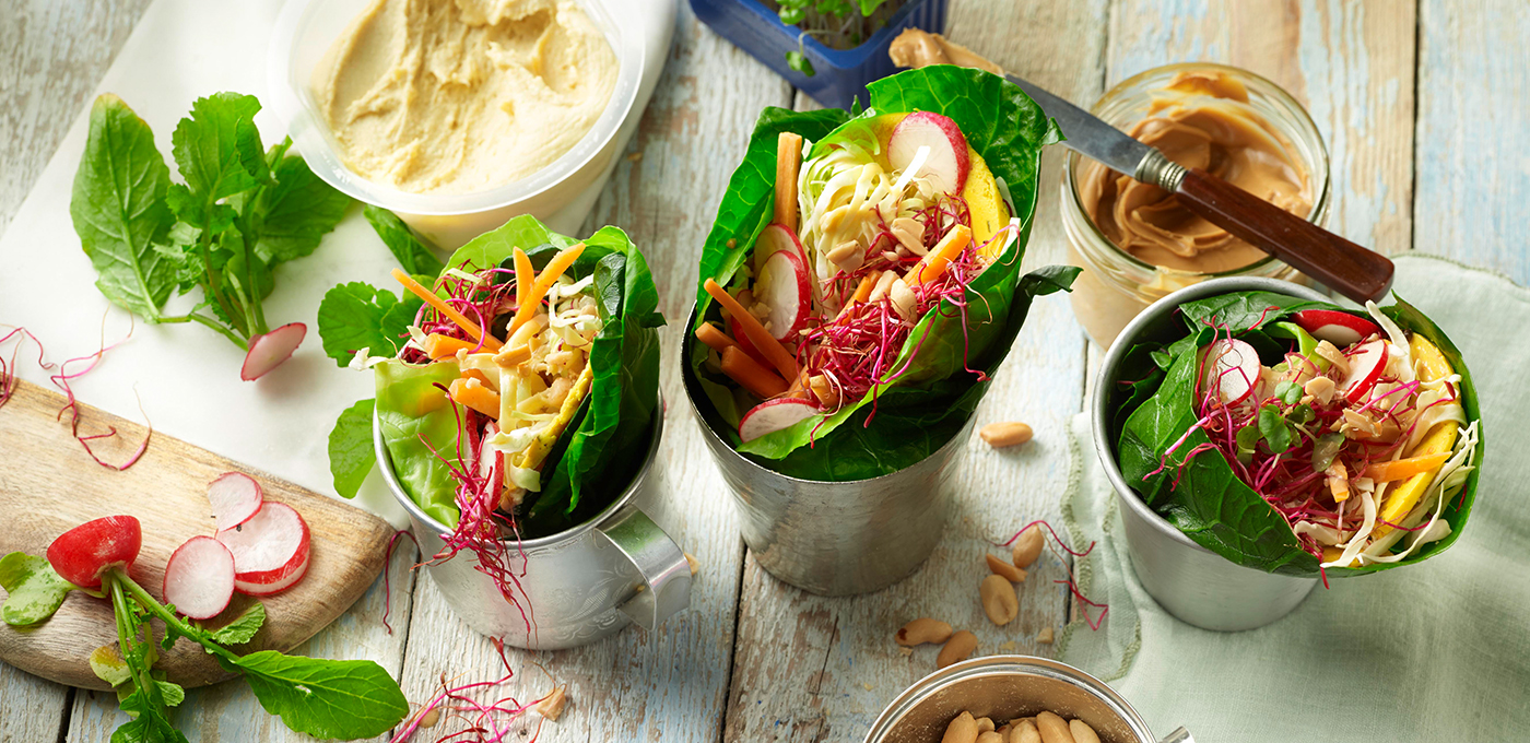 Spitzkohl_Wrap 1400×680